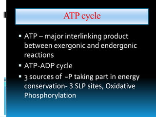 Bioenergetics | PPTX