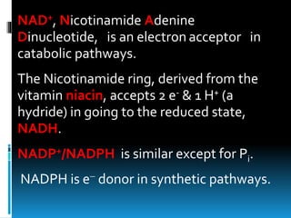 Bioenergetics | PPTX