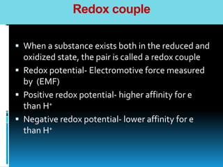 Bioenergetics | PPTX