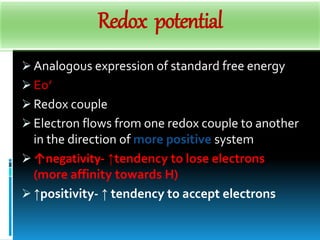 Bioenergetics | PPTX