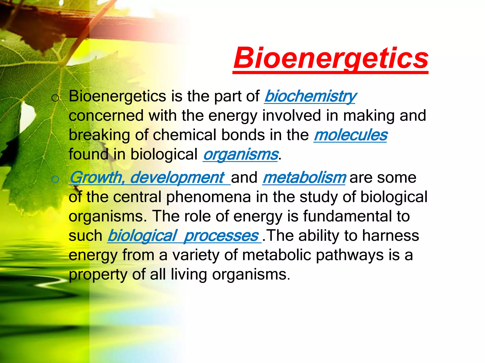 Bioenergetics | PPT