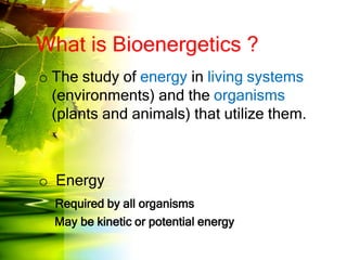 Bioenergetics | PPT