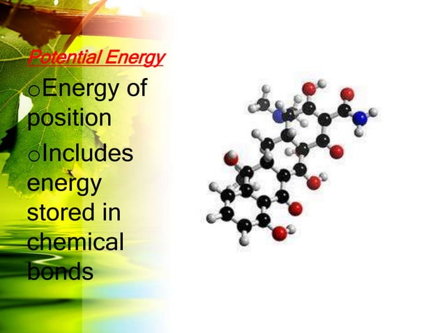Bioenergetics | PPT
