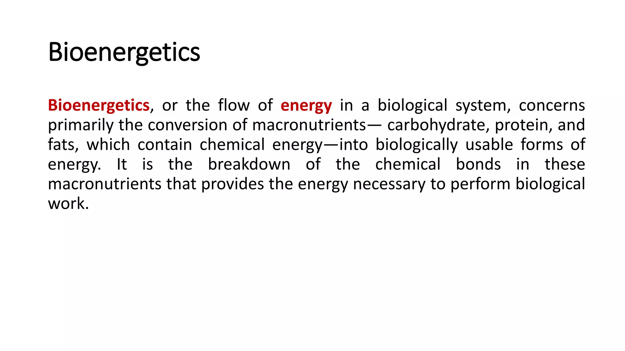 Bioenergetics | PPT