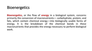 Bioenergetics | PPT