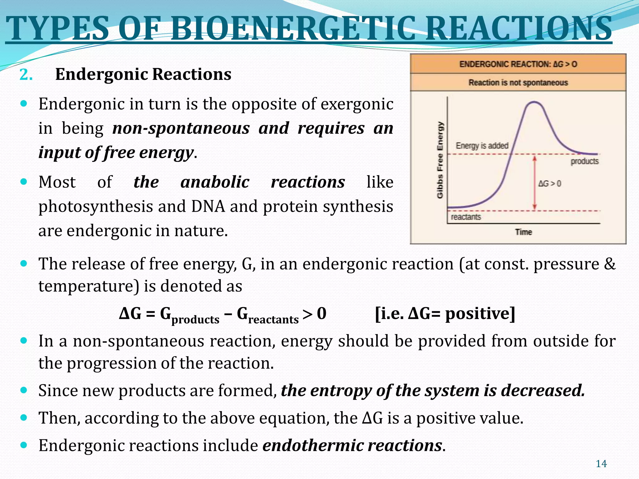 Bioenergetics | PPTX