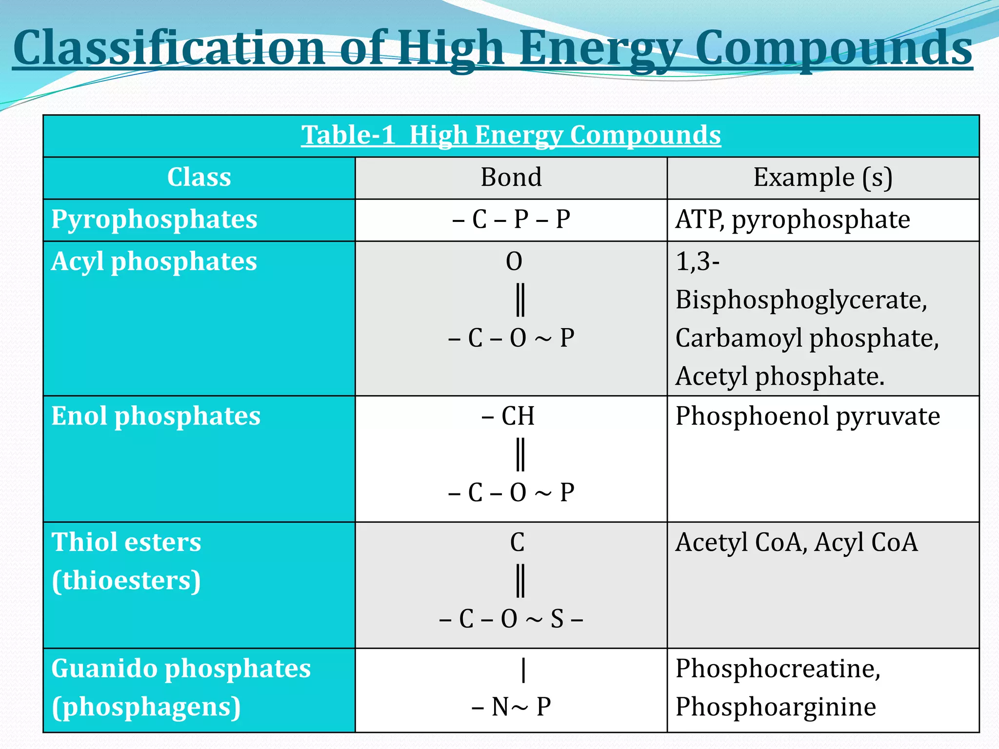 Bioenergetics | PPTX