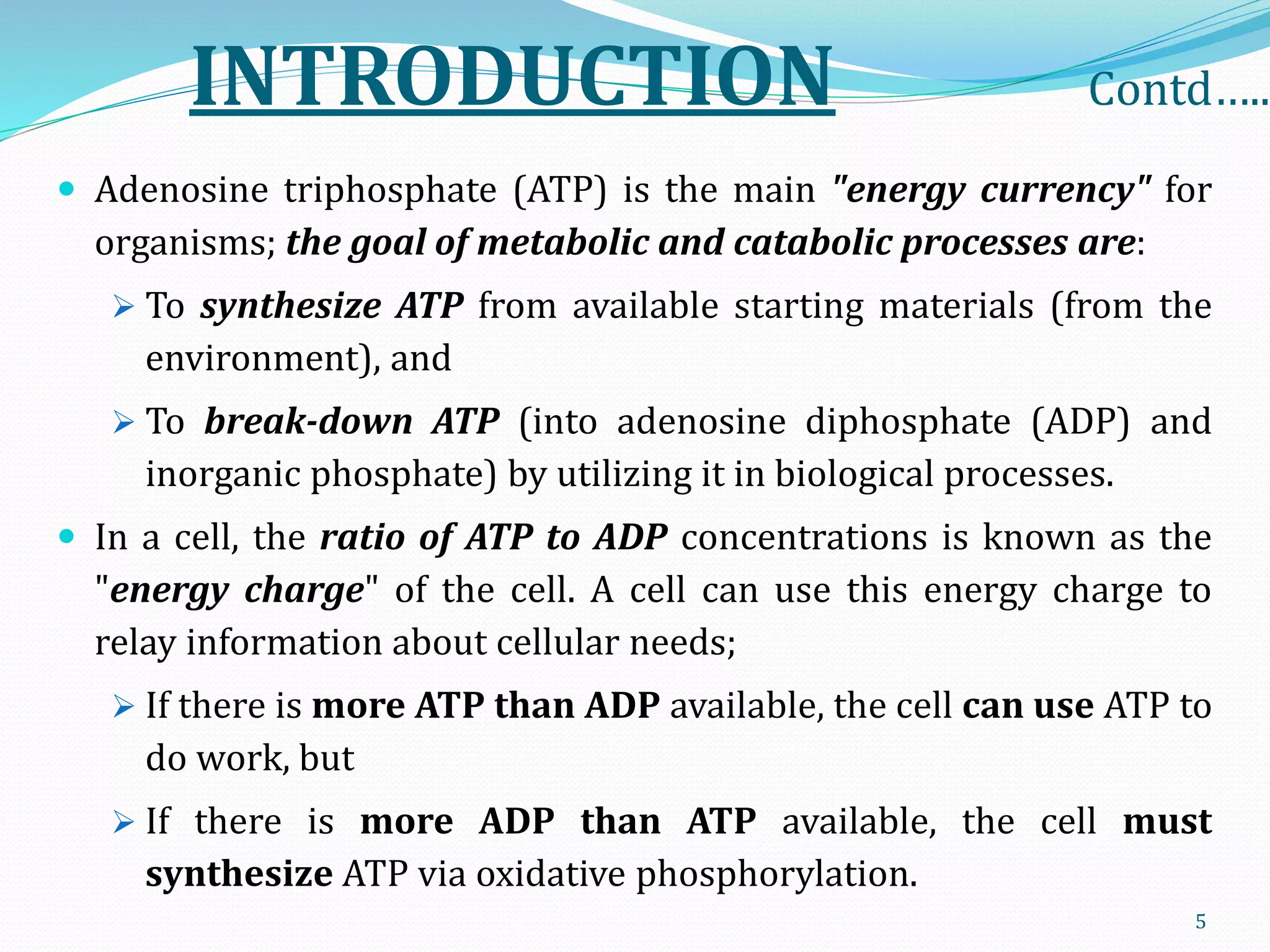 Bioenergetics | PPTX