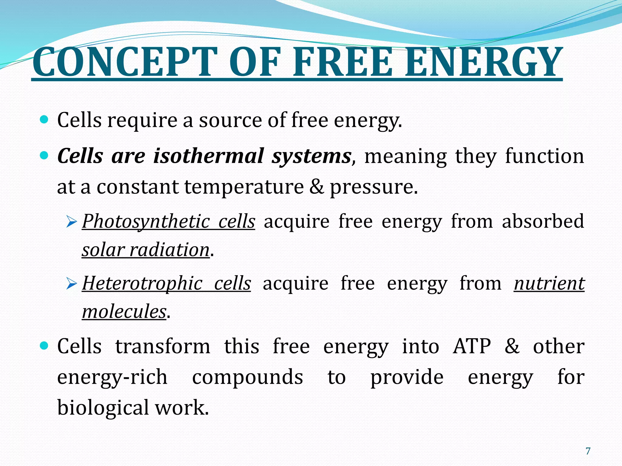 Bioenergetics | PPTX