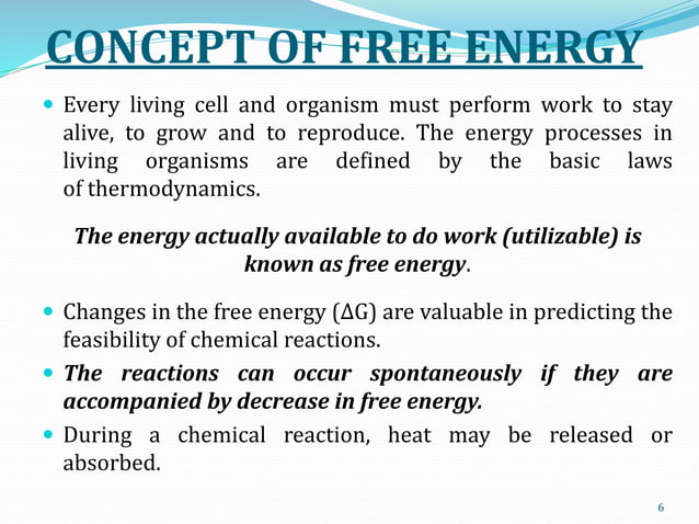 Bioenergetics | PPTX