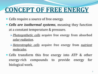 Bioenergetics | PPTX
