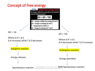Bioenergetics | PPT