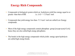 Bioenergetics | PPT