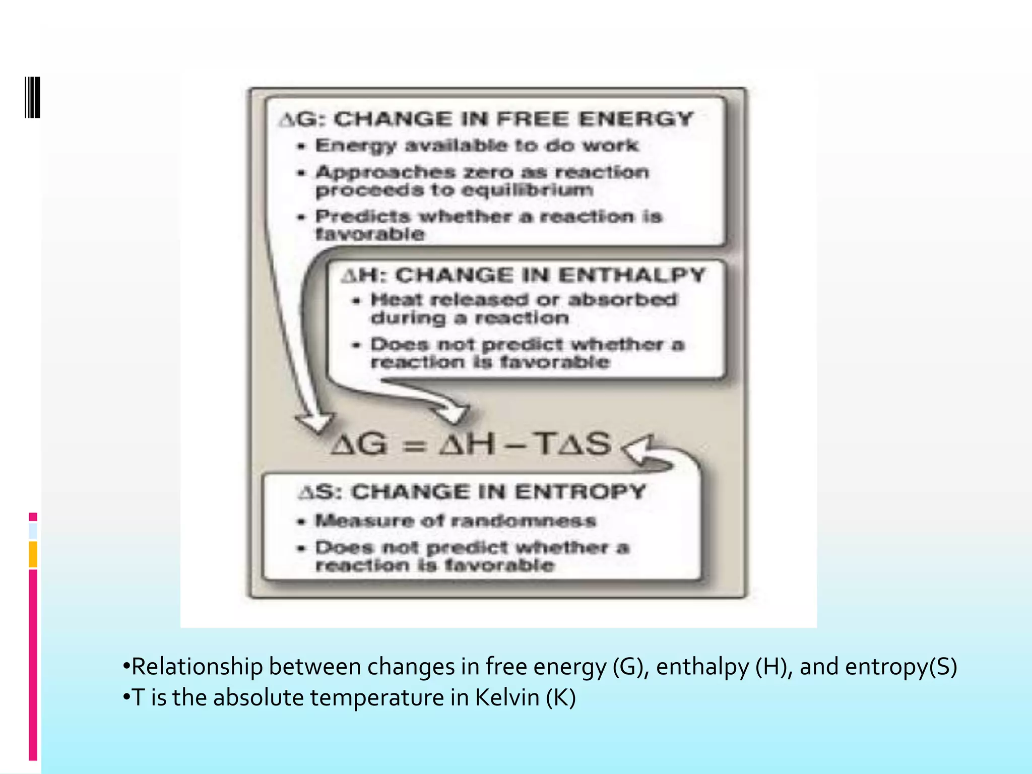 Bioenergetics | PPTX