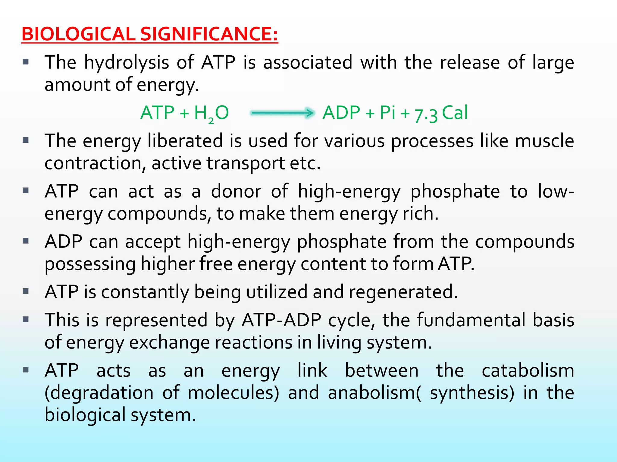 Bioenergetics | PPTX | Chemistry | Science