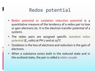 Bioenergetics | PPTX