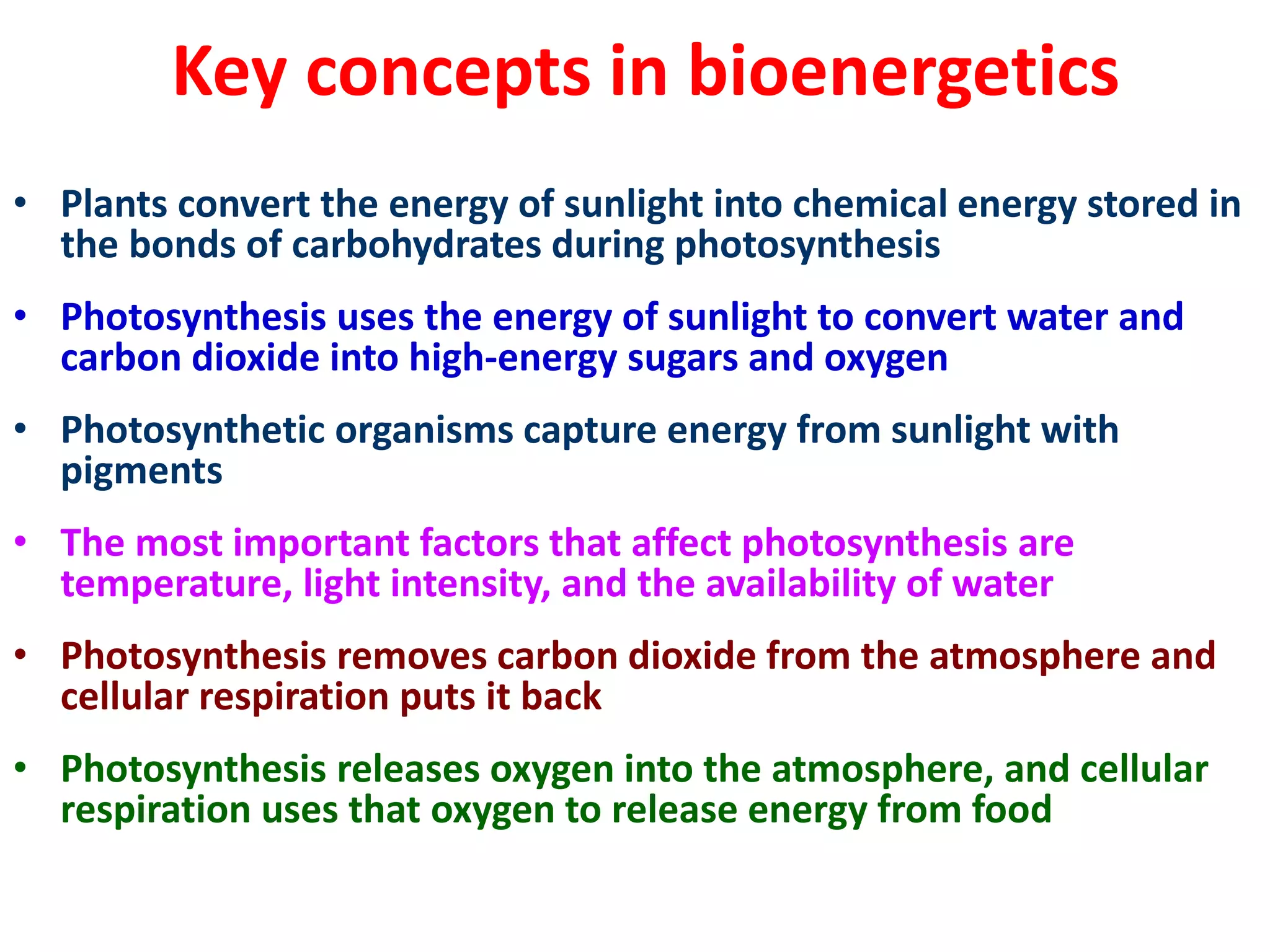 Bioenergetics | PPTX