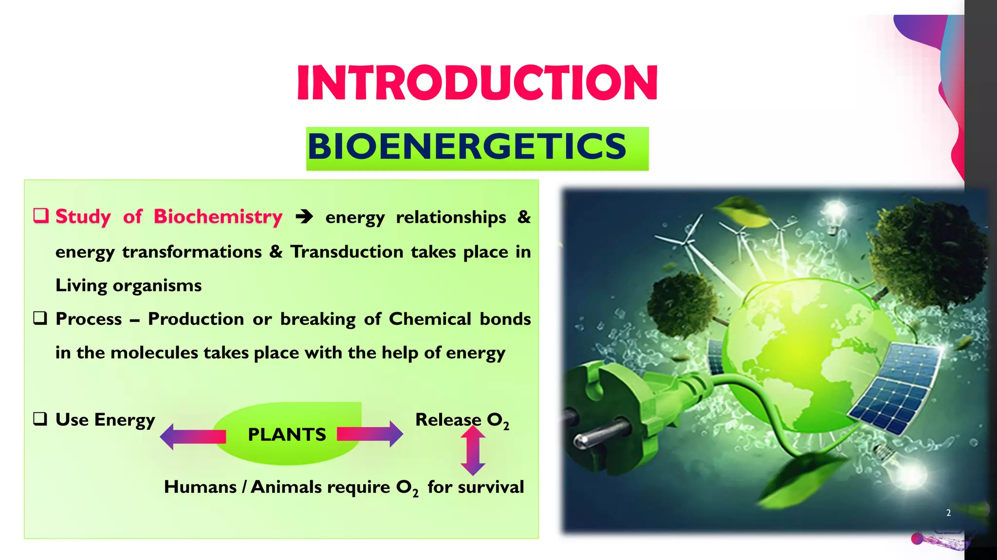 Bioenergetics | PDF