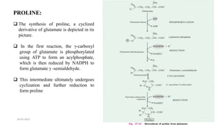 bioenergetics.pptx