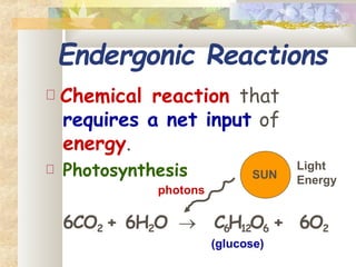 bioenergetics.pptx
