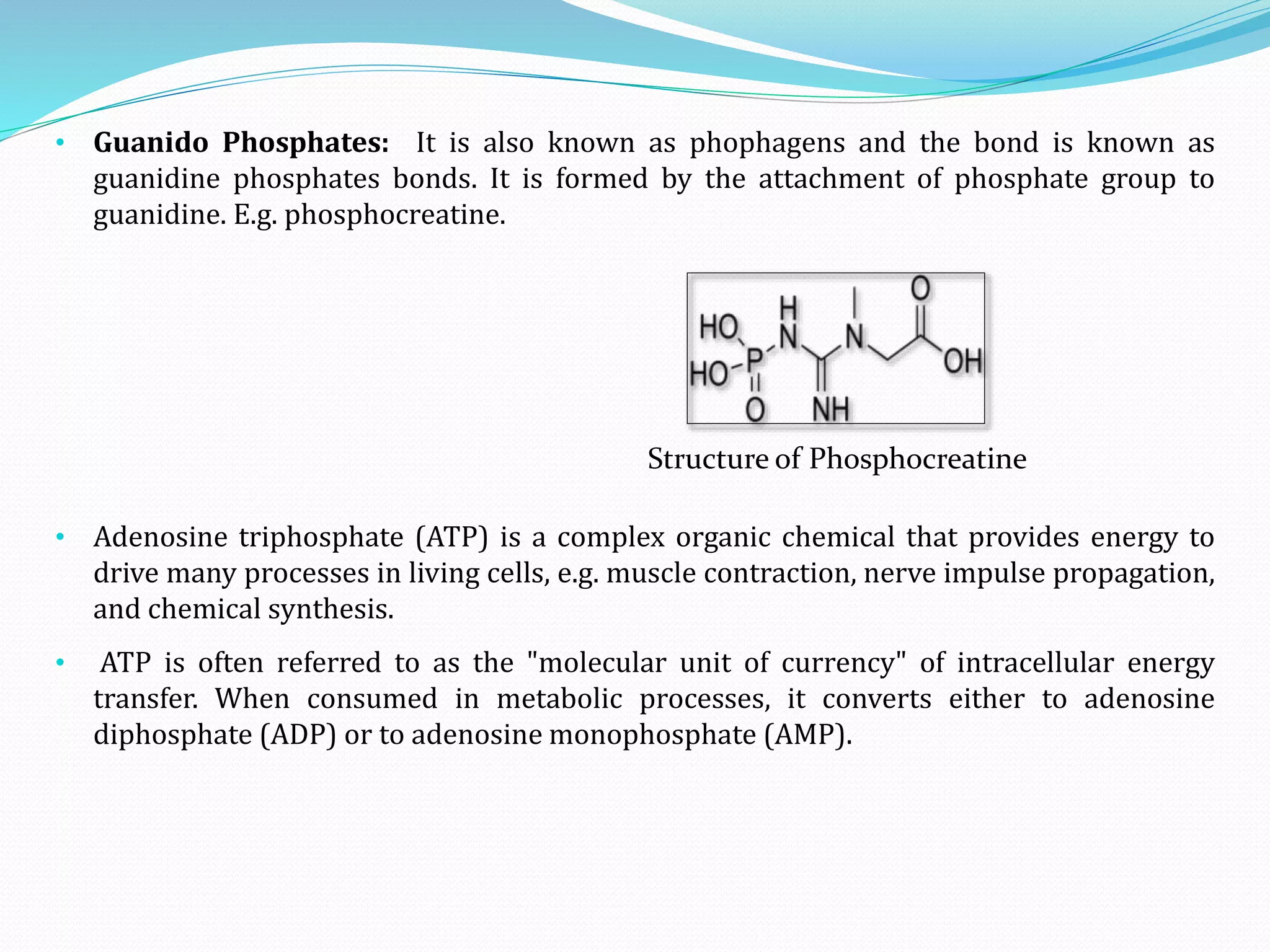 Bioenergetics.pptx