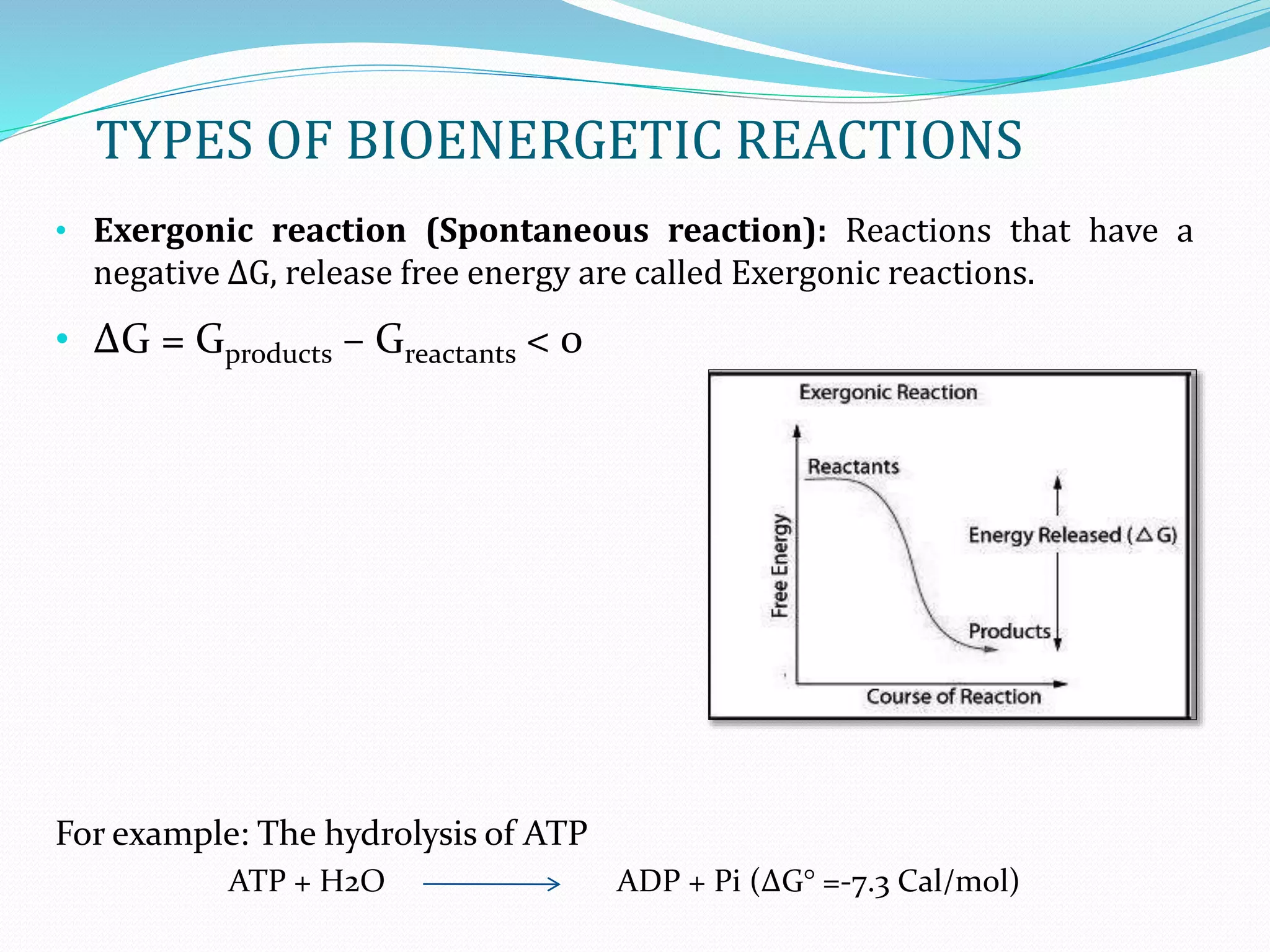 Bioenergetics.pptx
