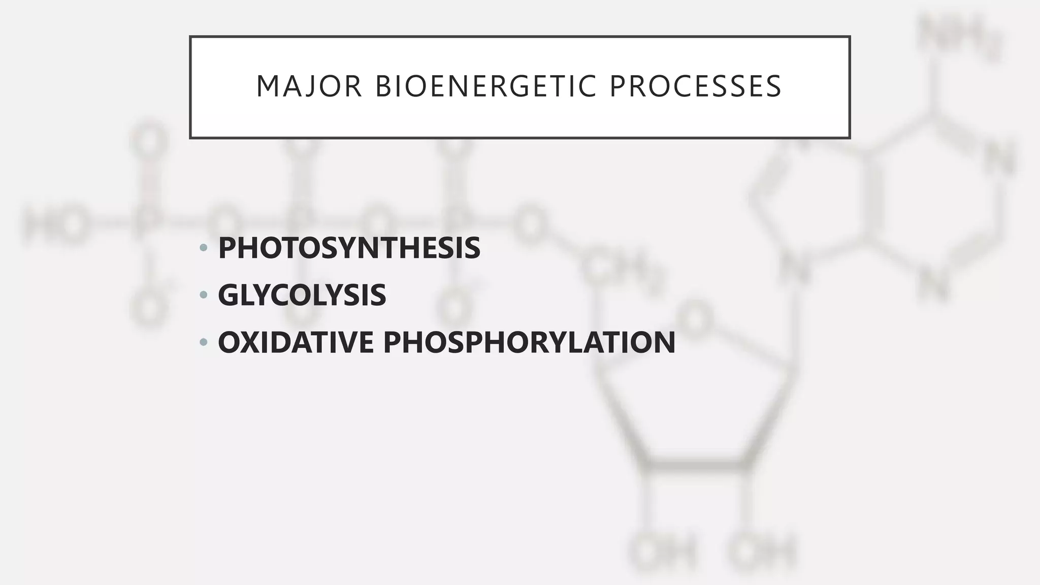 BIOENERGETICS.pptx