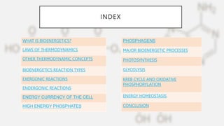 BIOENERGETICS.pptx