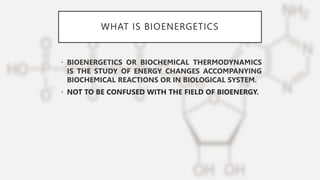 BIOENERGETICS.pptx