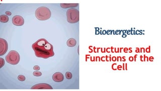 Bioenergetics.pptx