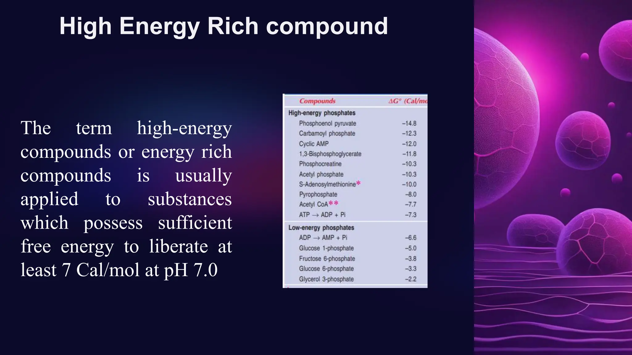 Biochemistry_Unit 1_Bioenergetics notes | PPTX