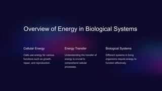 Biochemistry_Unit 1_Bioenergetics notes | PPTX