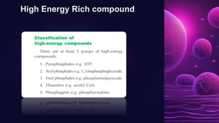 Biochemistry_Unit 1_Bioenergetics notes | PPTX