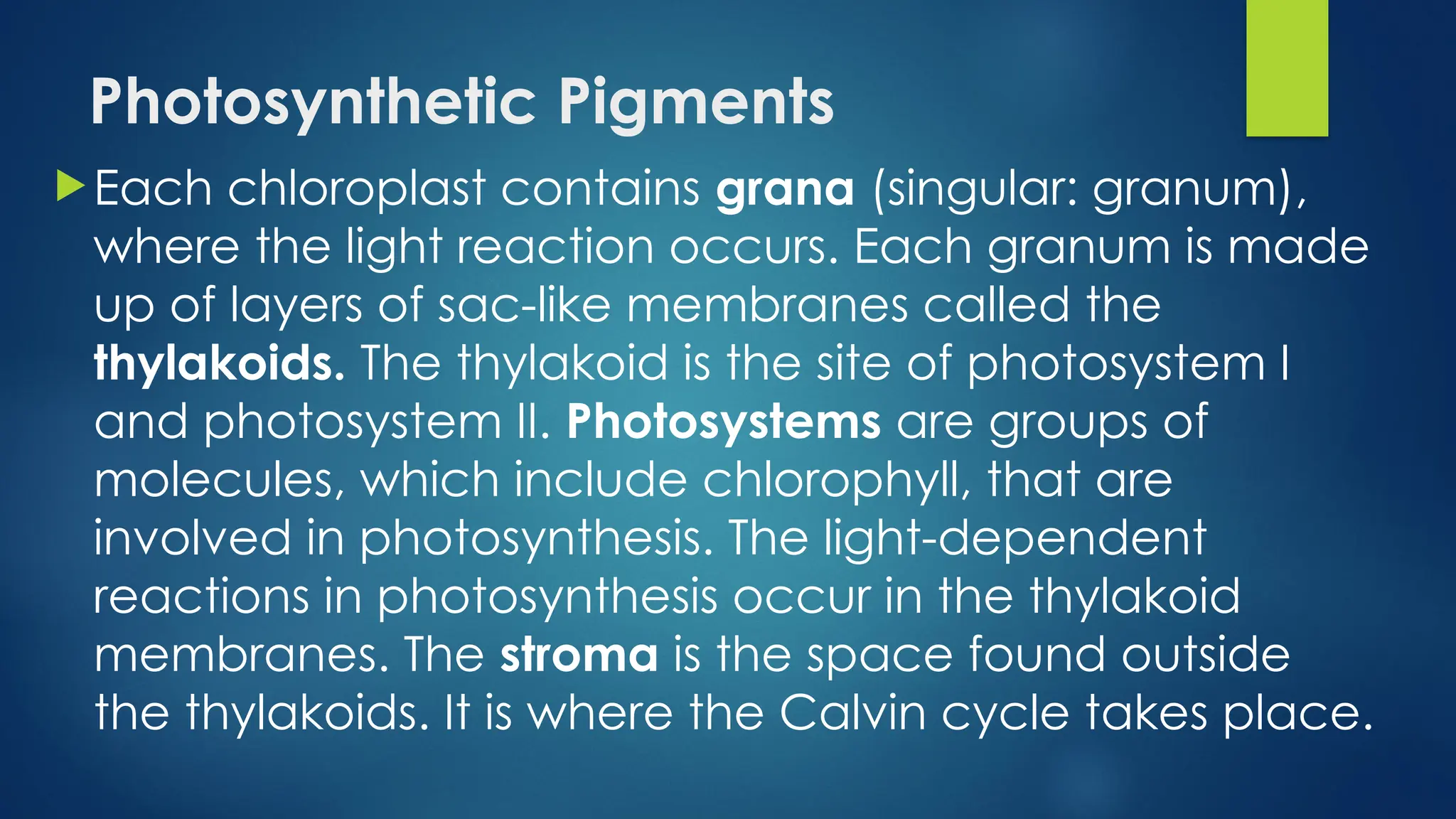 BIOENERGETICS.pptxssssssssssssssssssssssss | PPTX