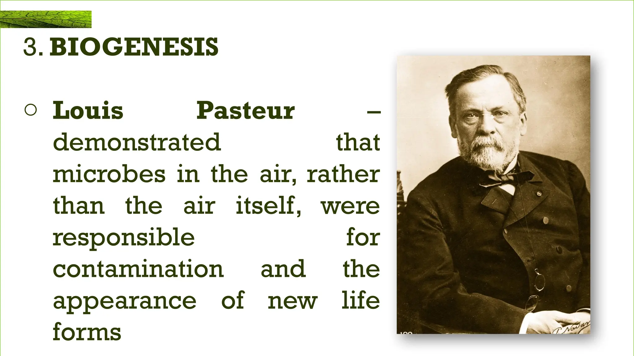 BIOENERGETICS_A PRESENTATION ABOUT THE CONCEPT OF LIFE | PPTX