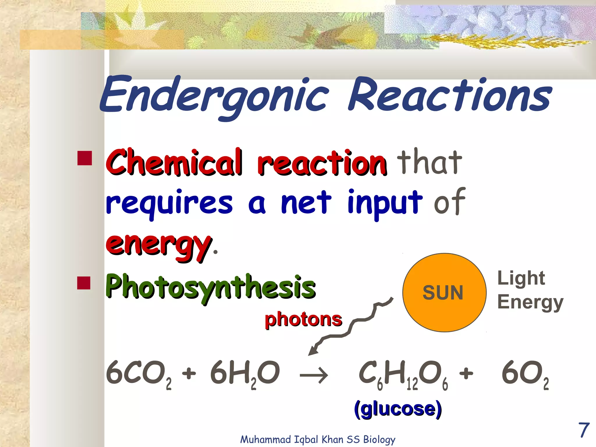 Bioenergetics | PPT