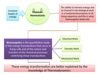 lecture slides on the topic Bioenergetics 1.ppt