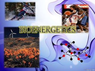 BioEnergetics | PPT