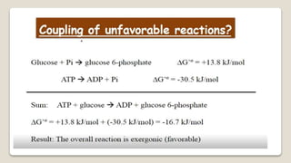 Ch 13 biochemistry-Bioenergetics and Thermodynamics (Enthalpy, Entropy ...