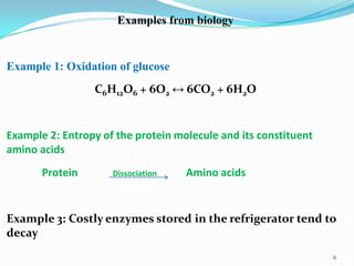 Bioenergetics2_For online class.pdf