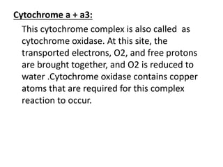 Bioenergetics and electron transport | PPTX