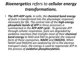 Bioenergetics and electron transport | PPTX
