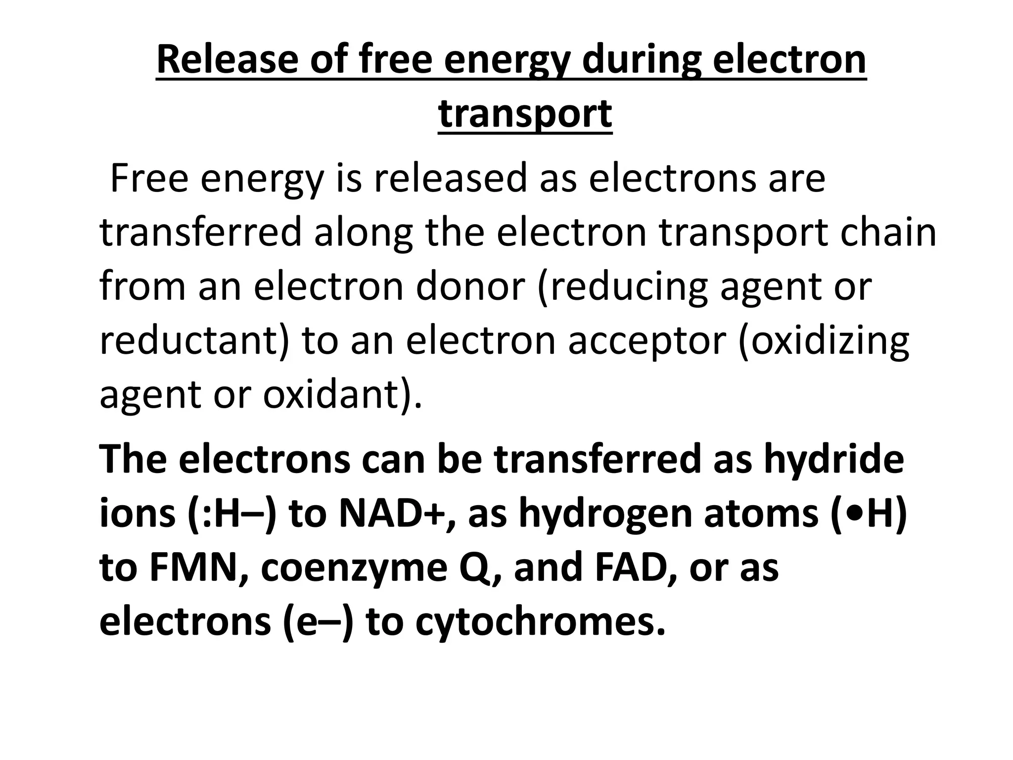 Bioenergetics and electron transport chain 24 | PPTX