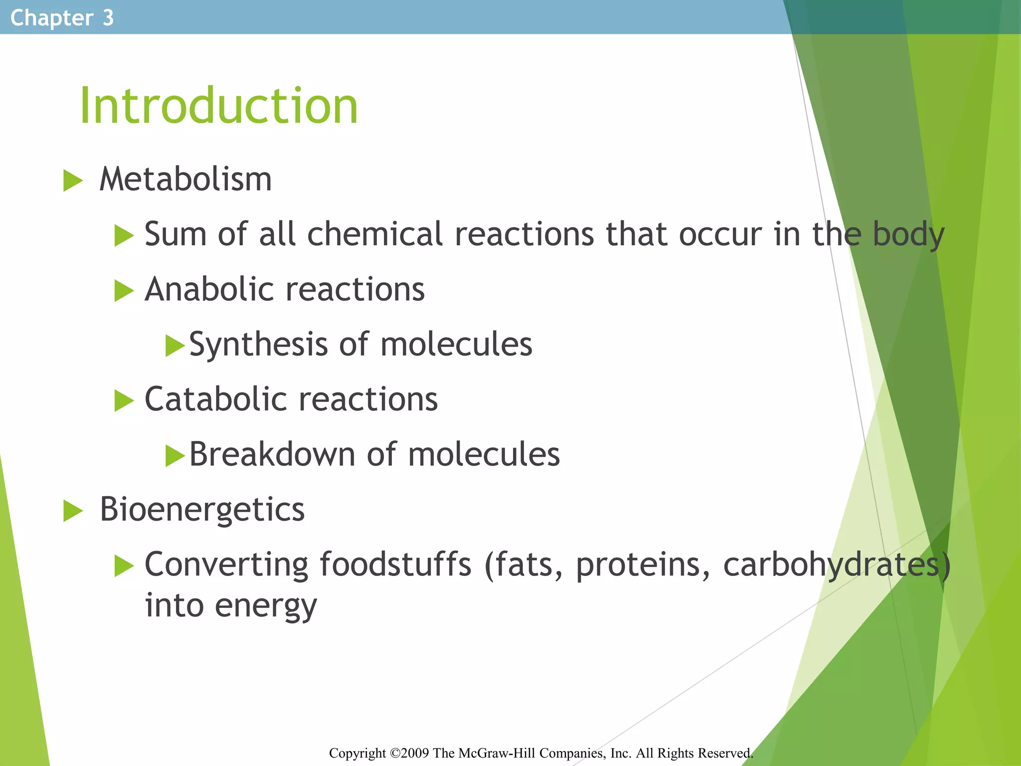 bioenergetics and metabolism.ppt
