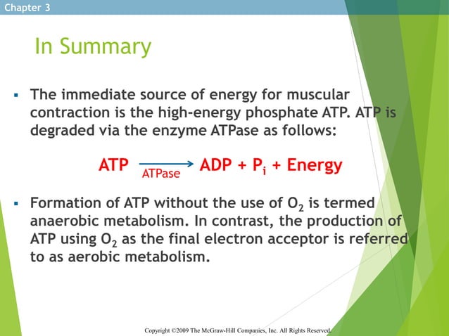 bioenergetics and metabolism.ppt