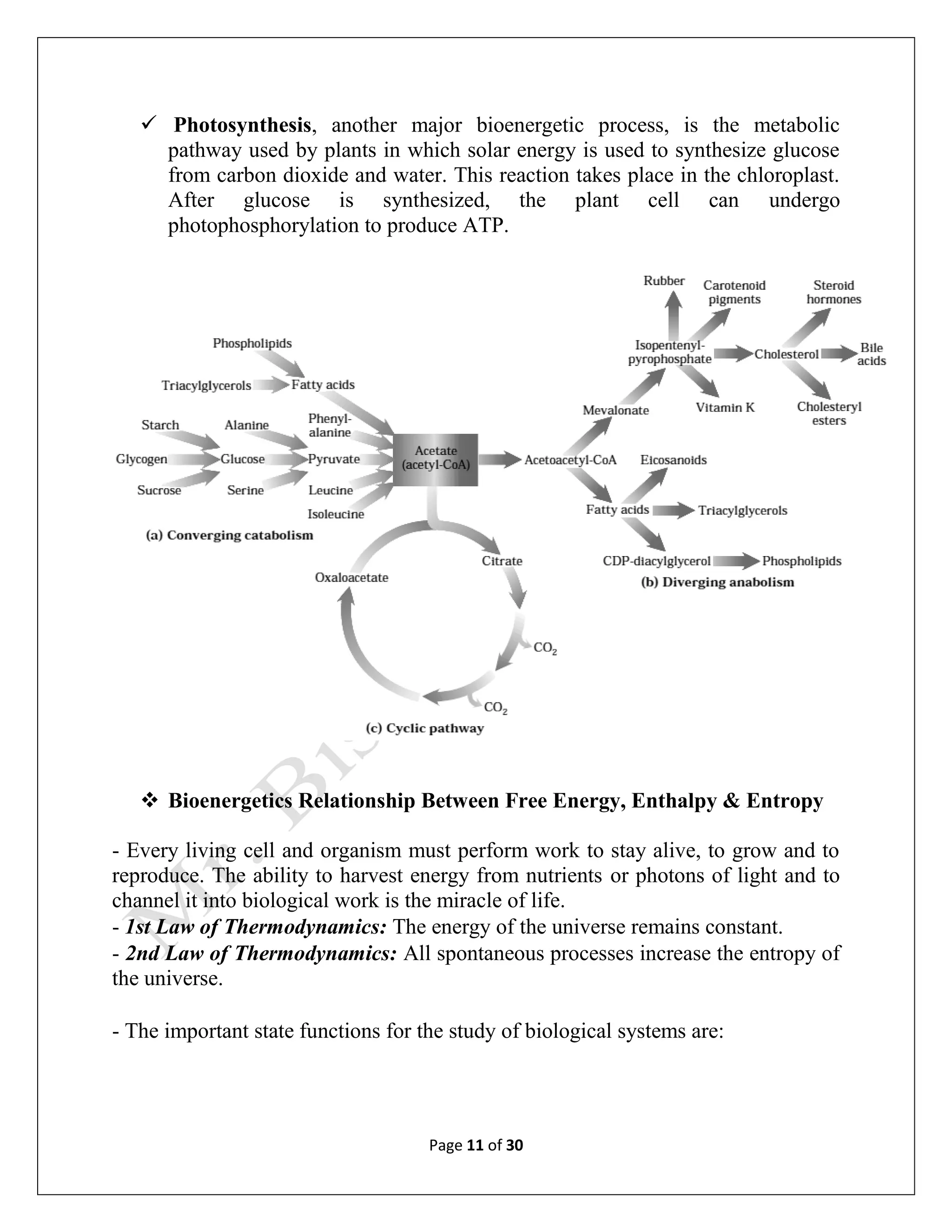 Bioenergetics by lecture Biswanath.pdf
