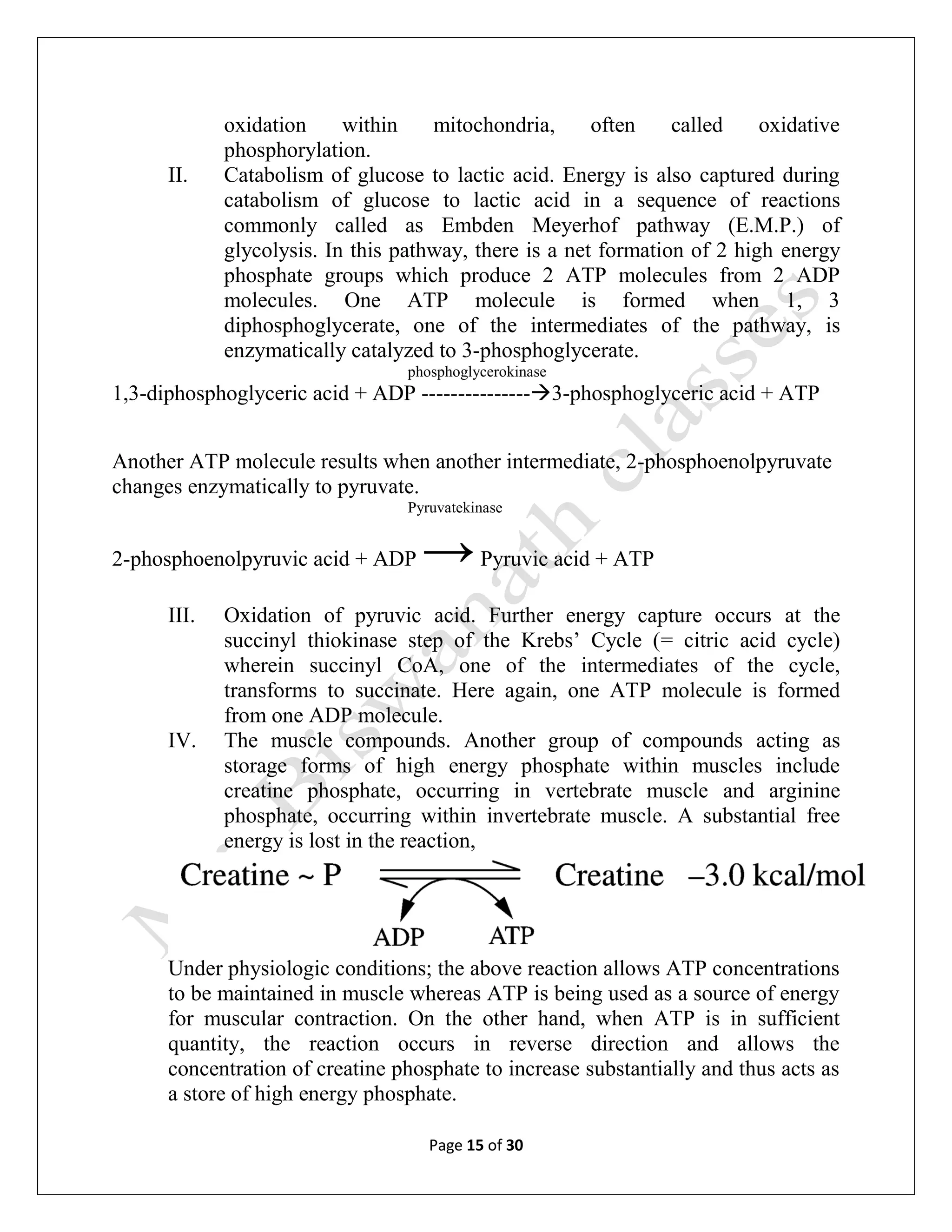 Bioenergetics by lecture Biswanath.pdf