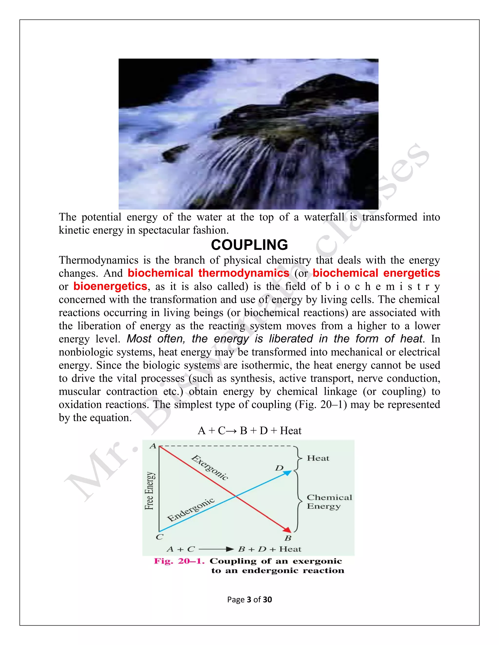Bioenergetics by lecture Biswanath.pdf