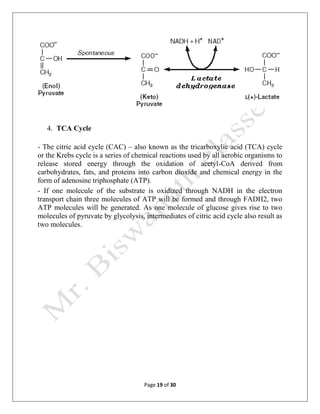 Bioenergetics by lecture Biswanath.pdf