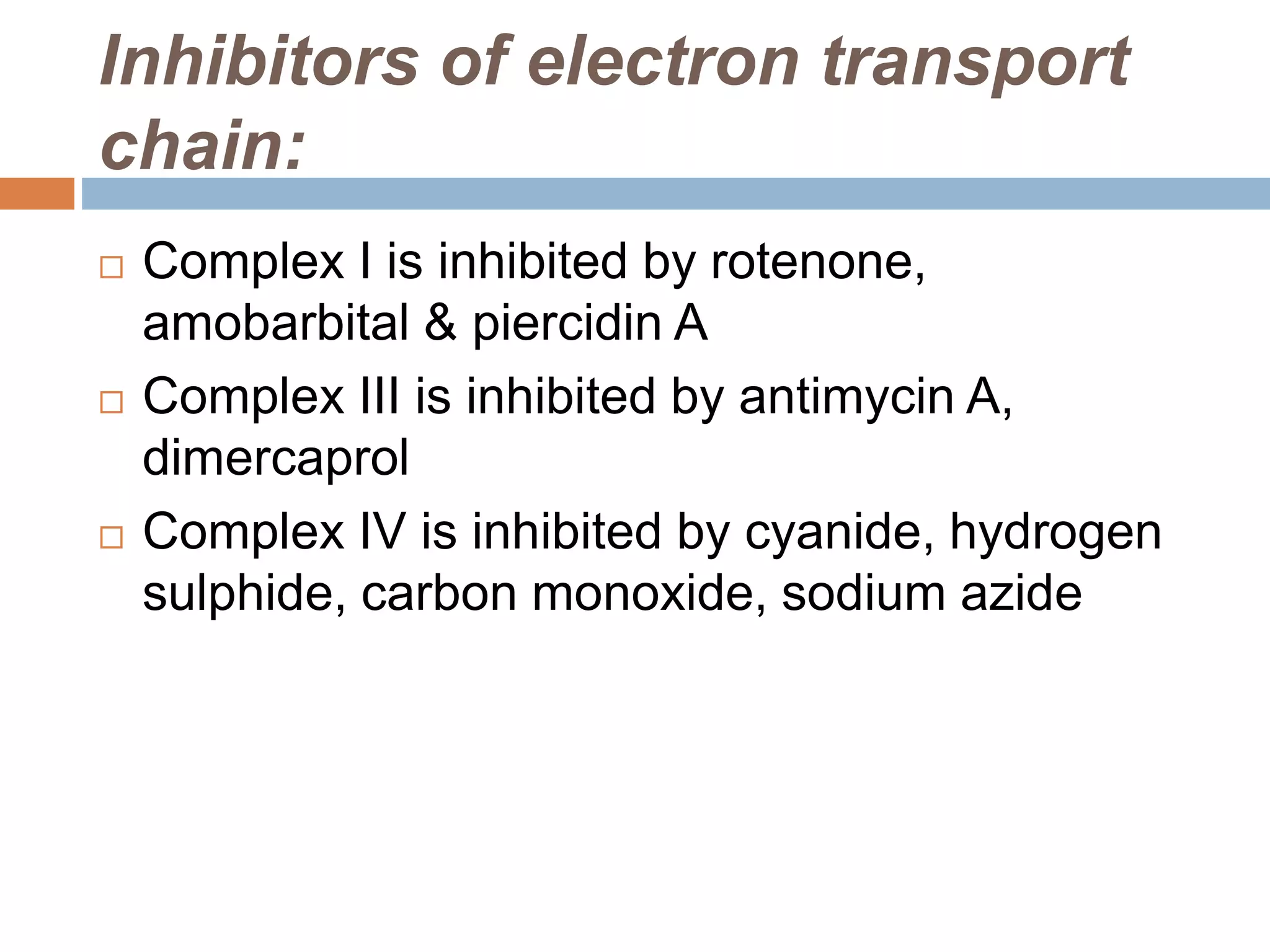 Bioenergetics | PPTX